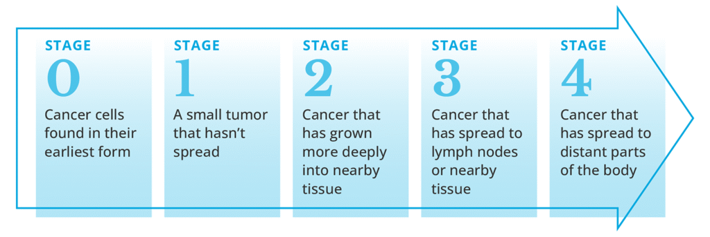 What Is Stage 1, 2, 3, Or 4 Cancer? Understanding The Staging System ...